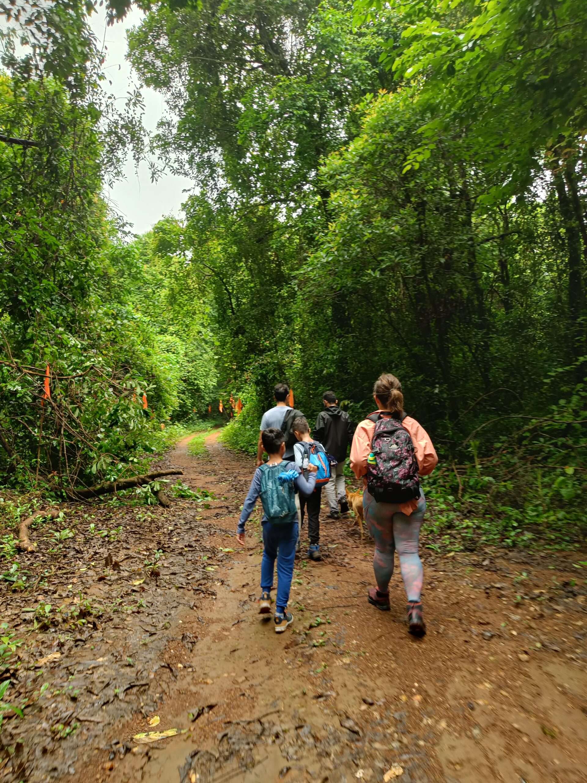 Experience peace and adventure at Nature's Nest Goa